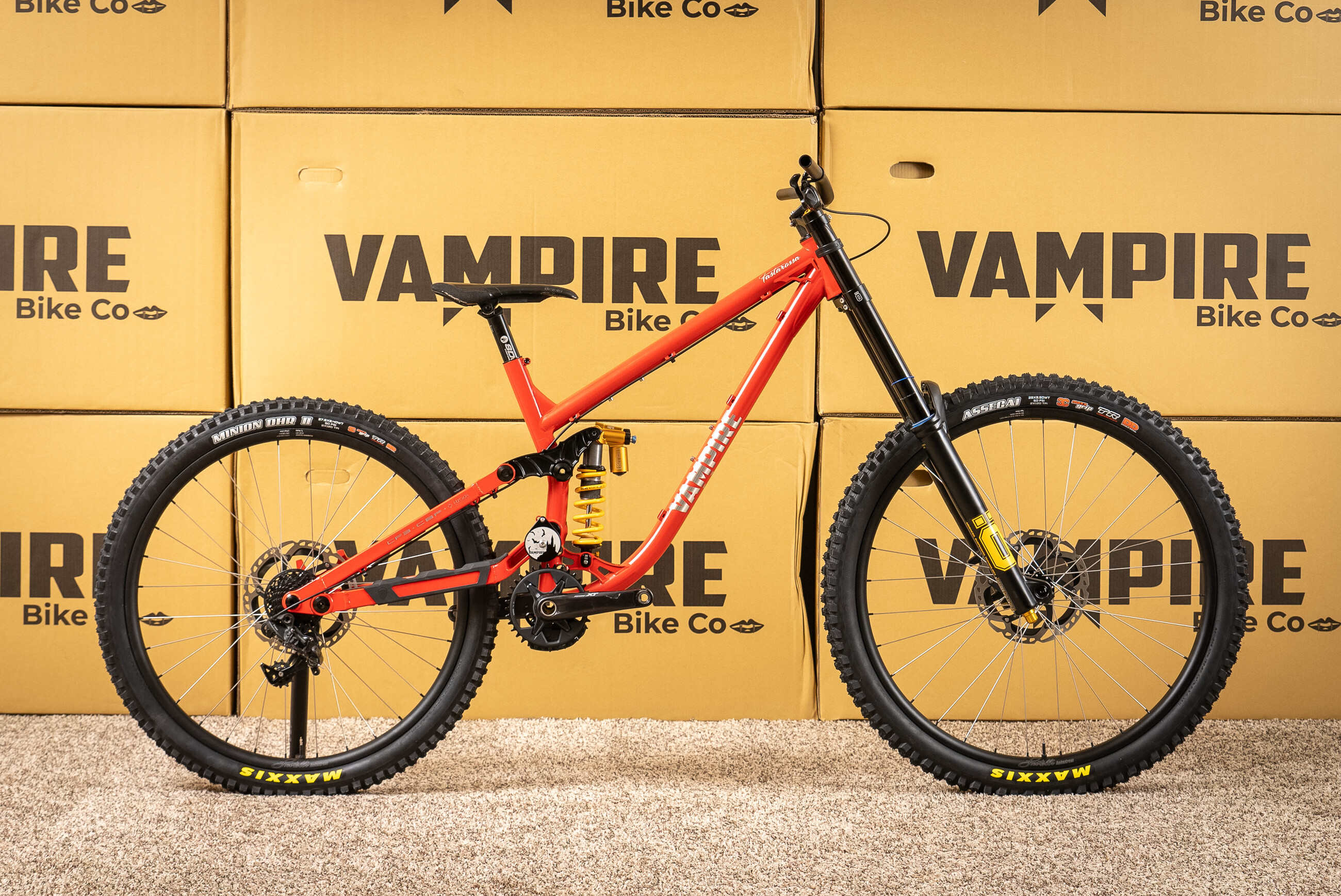 Vampire Bikes - From the Basement with Chris Canfield - Mountain Bike Feature - Vital MTB